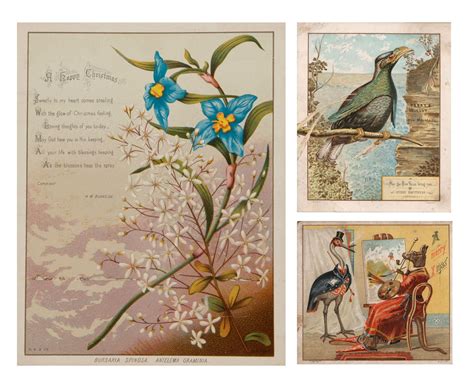 Bessie Rouses Scrap Album And The First Australian Christmas Cards