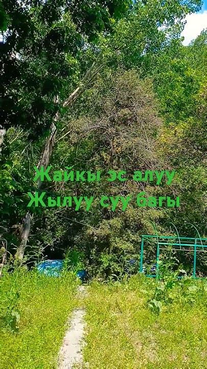 эс алуү гүлчө айыл аймагы Youtube