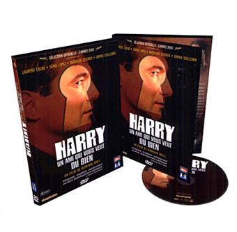 Harry Un Ami Qui Vous Veut Du Bien Dominik Moll DVD Zone 2 Achat