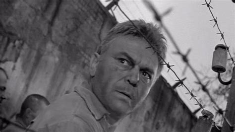 15 Cult War Movies That Are Worth Your Time Page 2 Taste Of Cinema Movie Reviews And