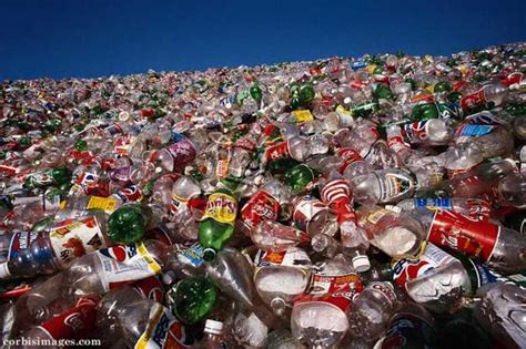 250 Grandes Empresas Se Unen Para Reciclar Todo El Plástico En 2025 Prevención Integral And Orp