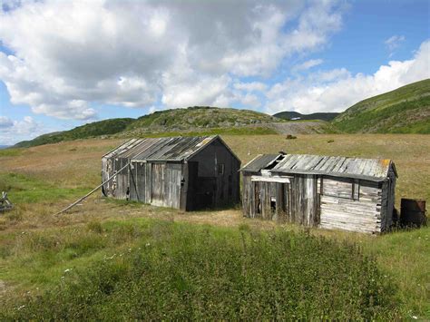 Precambrian Fossils Oddballs Treptichnus Pedum And Moving Camp