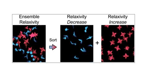 Shape Dependent Relaxivity Of Nanoparticle Based T1 Magnetic Resonance