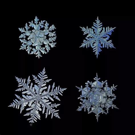 雪花图放大图片 雪花图 雪花飘落动图 大山谷图库
