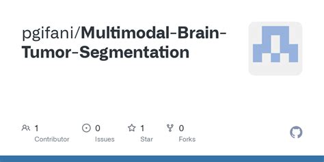 Github Panimultimodal Brain Tumor Segmentation