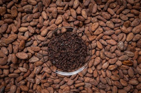 Premium Photo Cocoa Beans As Background Cocoa Products