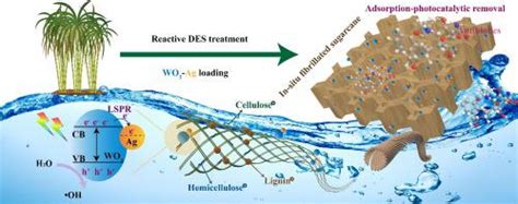 原位纤维化甘蔗细胞壁用 Wo3 Ag 纳米催化剂装饰，可有效吸附光催化去除水中的抗生素 Separation And Purification Technology X Mol