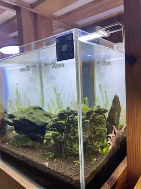 Natural Aqua Lab Planted Aquarium At ₹ 37000 In Gurugram Id