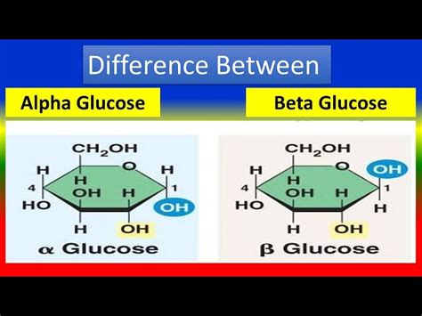 The Differences Between Alpha And Beta Glucose Livestrong 55 OFF