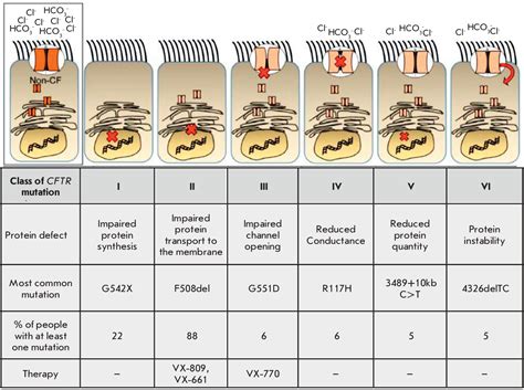 Figure 1 From Gene Therapy For Cystic Fibrosis Recent Advances And