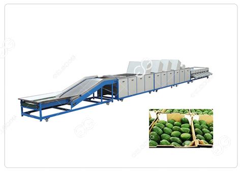 Qu Hace Una M Quina Clasificadora De Aguacate De Frutas