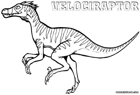 Velociraptor Printable Coloring Pages At GetColorings Free