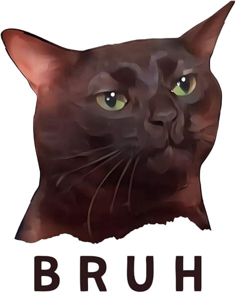 Meme De Bruhhh
