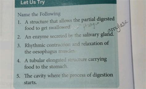 Let Us Try Name The Following 1 A Structure StudyX