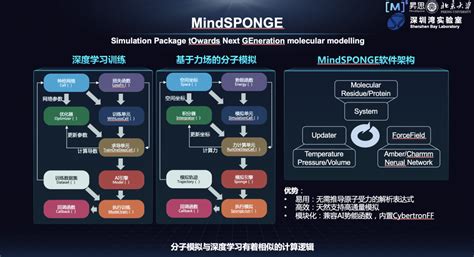 Mindspore Mindspore