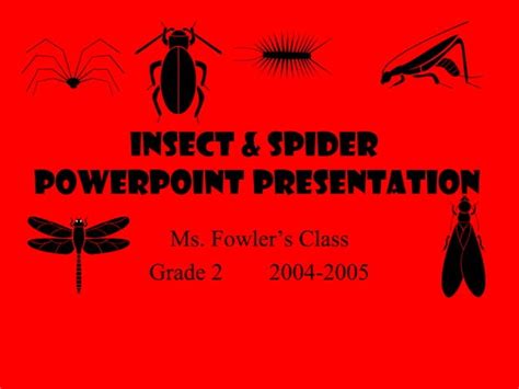 Insect Powerpoint Presentation Ppt