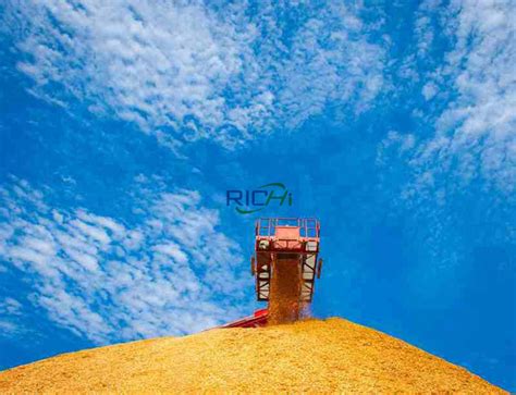 High Efficiency Rice Husk Pellet Machine Richi Pelletizer