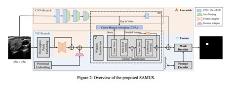 登上nature！基于sam做医学图像分割新突破medsam Csdn博客