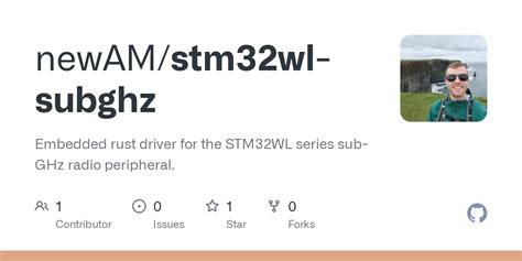Github Newam Stm32wl Subghz Embedded Rust Driver For The Stm32wl Series Sub Ghz Radio Peripheral