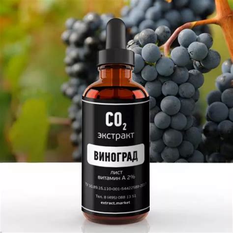 Купить СО2 экстракт винограда (лист) в интернет-магазине Extract.Market