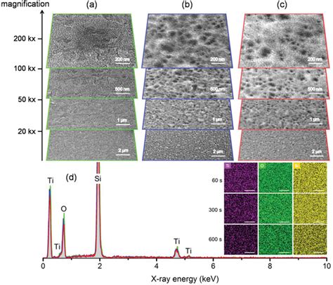 fe‐sem micrographs [in grayscale and taken at different magnifications