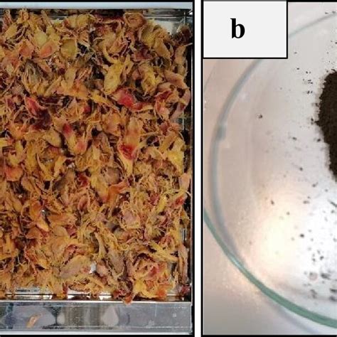 Image Of The Pistachio Shell A And Pistachio Shell Biochar B