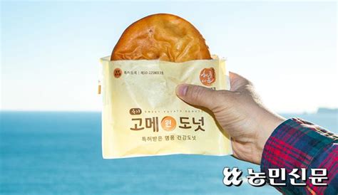 가을 섬 여행 뿔소라·전복·멍게해녀가 건네는 싱싱 종합먹거리세트