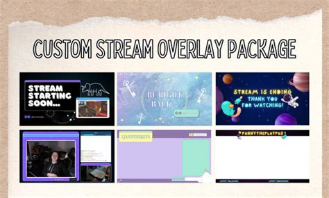 Create Custom Stream Overlays To Fit Your Aesthetic By Louceratops Fiverr