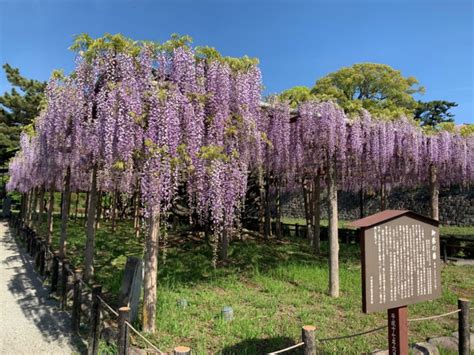 カップヌードルミュージアム 横浜体験観光スポット 公式神奈川県のお出かけ観光旅行サイト観光かながわNOW