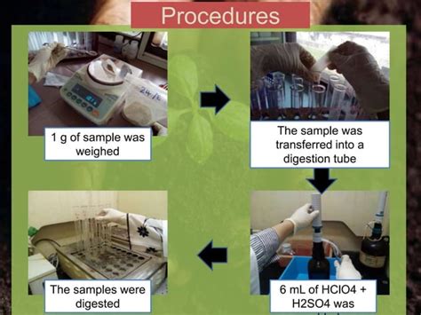 Soil Analysis