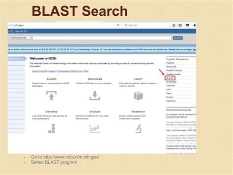 Blast Basic Local Alignment Search Tool Pptx