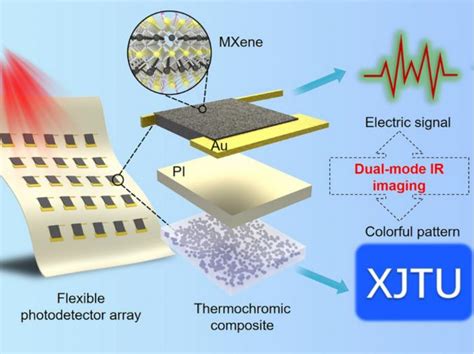 Flexible Dual Mode Photodetector A New Paradigm For Humanmachine