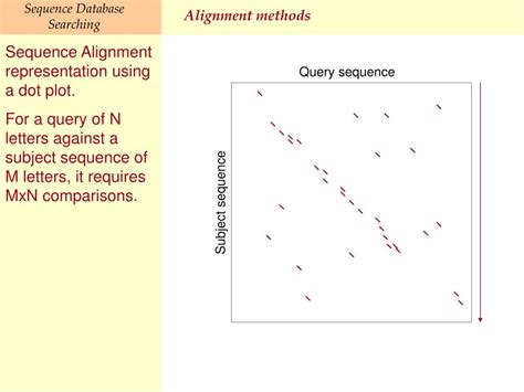 ppt local and global alignment database searching with blast