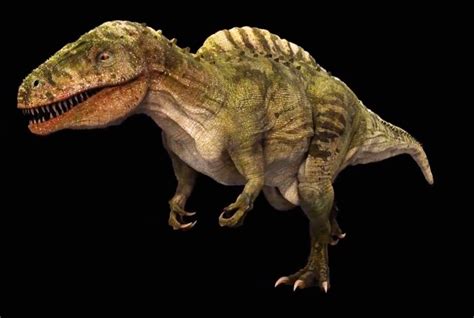 Dossier Tout Ce Quil Faut Savoir Des Dinosaures
