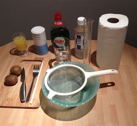 Outreach Activity Extracting DNA From Kiwi Fruit The Node