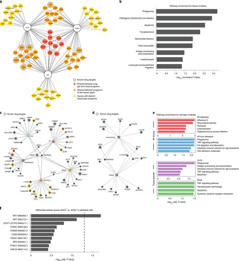 Tissue And Cell Type Specific Gene Modules In Ace2⁺tmprss2⁺ Cells