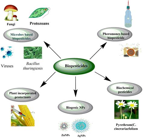 Biopesticides Types Advantages Limitations Applications Notes