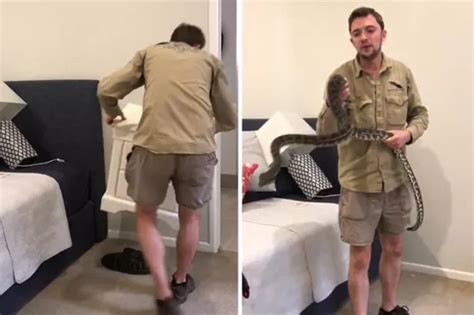 Naked Man Wrestles Giant Python To Save Kitten Being Eaten Blood Was Everywhere Daily Star