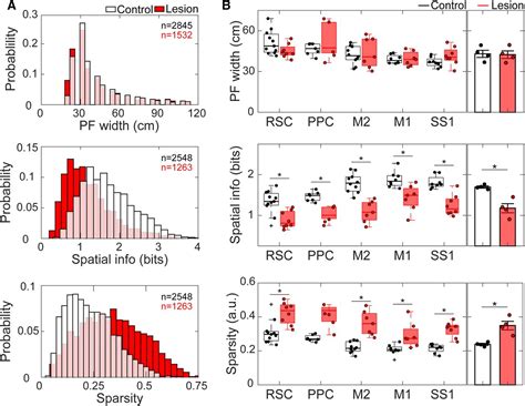 Spatial Information Encoding Across Multiple Neocortical Regions Depends On An Intact