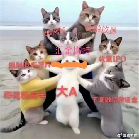 牛市什么时候来？ 知乎