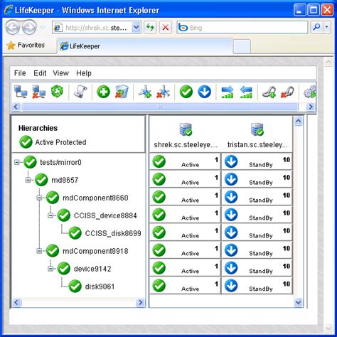 Software Raid Hierarchy Creation And Administration Lifekeeper For Linux Live 932