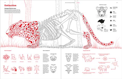 How To Improve Your Data Visualization Design In 6 Steps Artofit