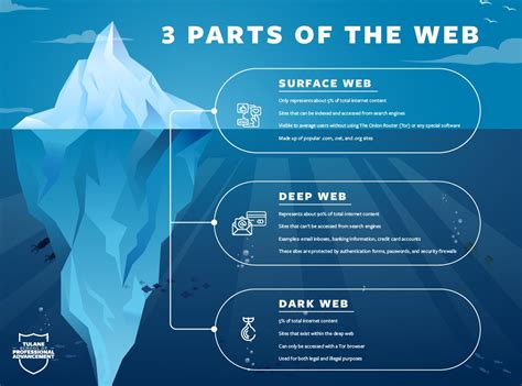 Dark Net Dark Web