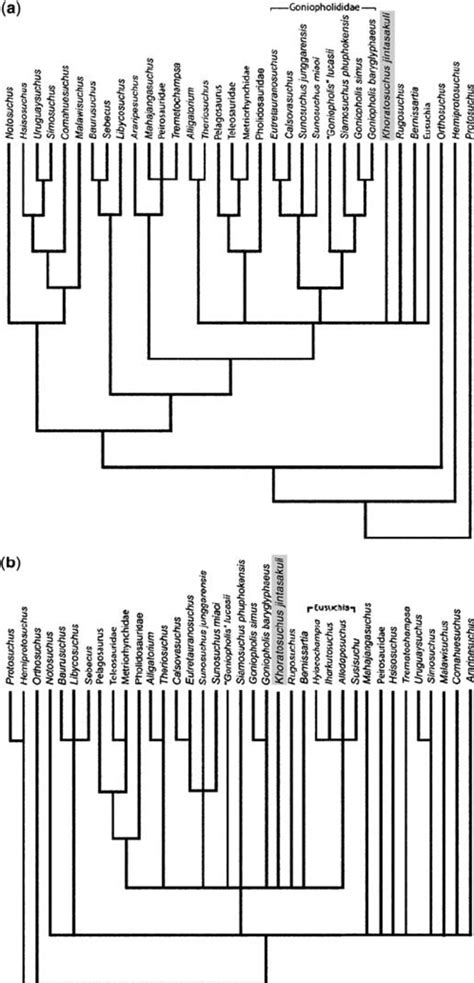 A Strict Consensus Tree Of 66 Equally Most Parsimonious Trees
