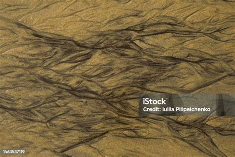 Natural Texture Of Sand Abstract Beautiful Drawings On The Sand