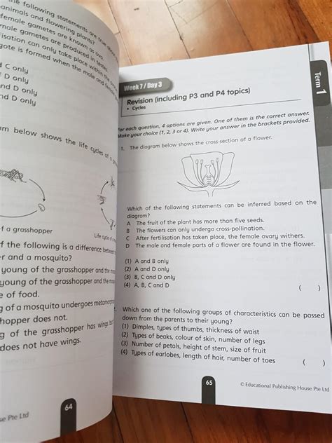 New P5 Science Hobbies And Toys Books And Magazines Assessment Books