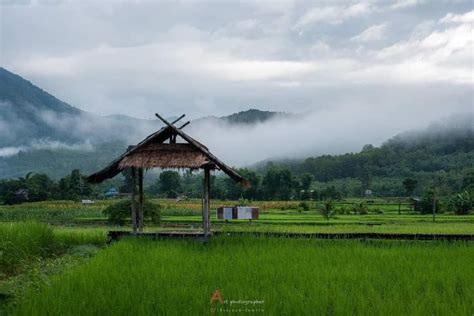 ชีวิต ธรรมชาติ에 있는 เติมแรงใจ2022님의 핀 2024