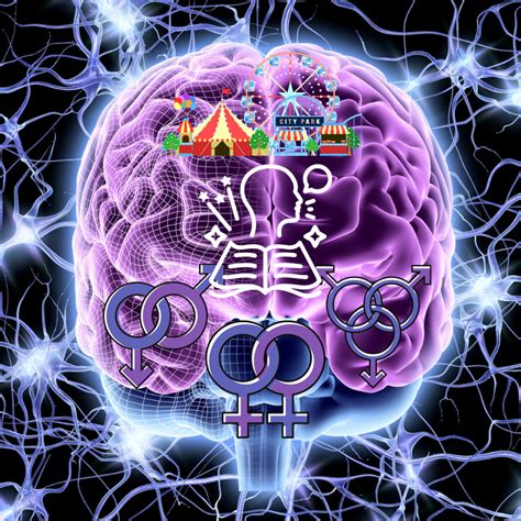 The Ultimate Writers Playground The Sexy Brain On Storytelling Dr J Donna Jennings Ph D