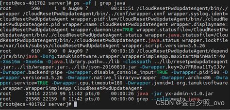 【liunx部署项目服务01】 linux下服务的部署与发布 linux信息发布 csdn博客