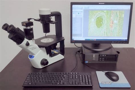 Olympus Ckx53 Inverted Phase Contrast Microscope